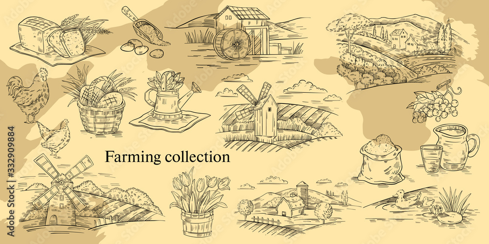 Vector set of farming illustrations in engraving vintage style for ...