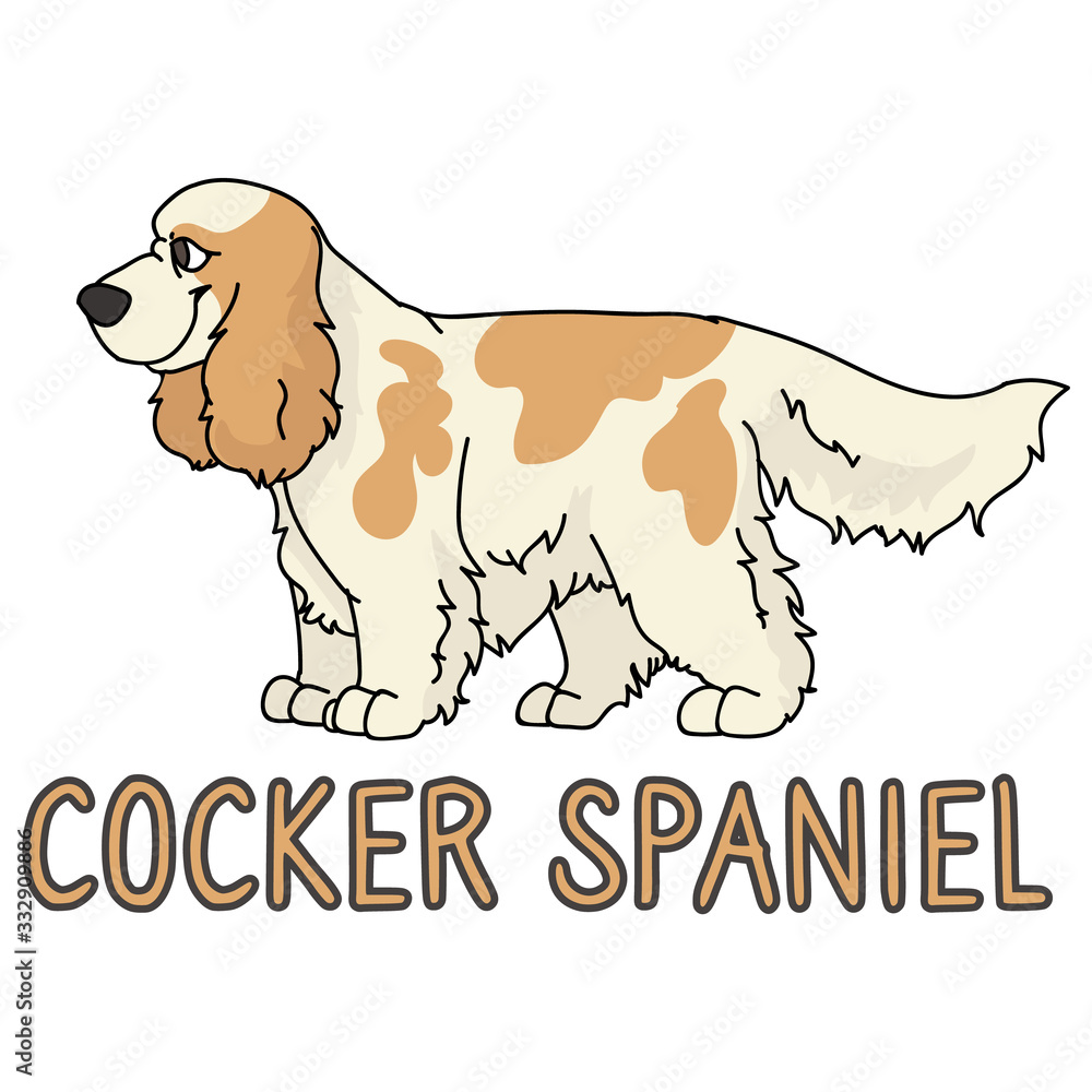 Cute cartoon cocker spaniel dog breed with text word print vector ...