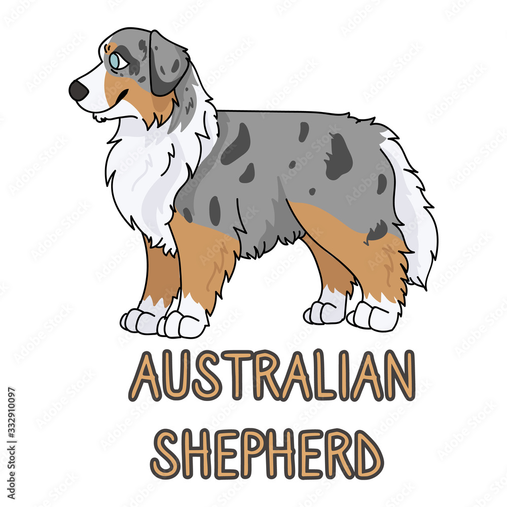 Cute cartoon australian shepherd dog breed with text word print vector ...