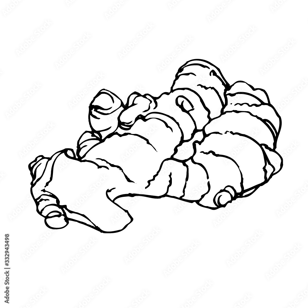 Ginger Clipart Black And White