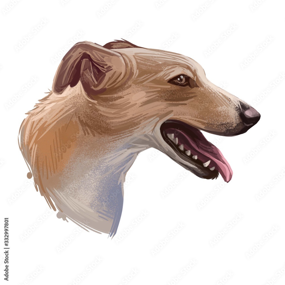 Lurcher dog, offspring of sighthound mated with pastoral breed or ...