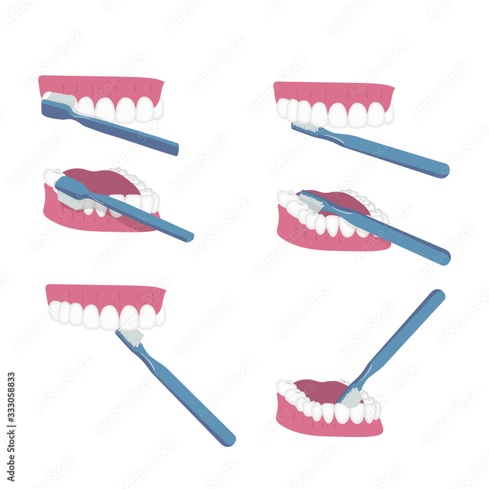 tooth brushing technique on white background Stock Vector | Adobe Stock