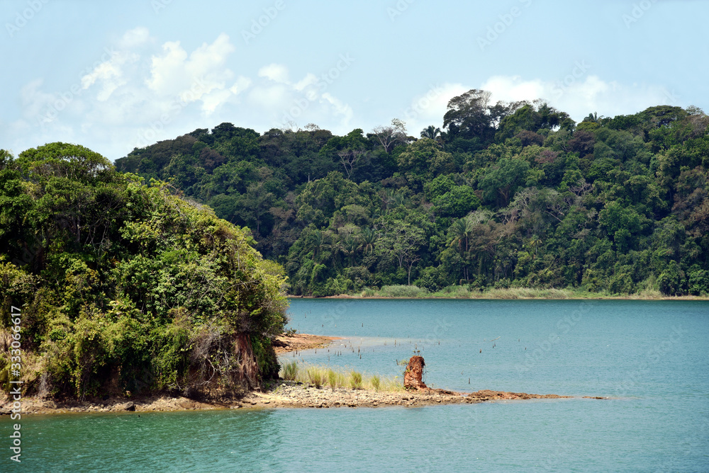 Green landscape of Panama Canal, view from the transiting cargo ship ...
