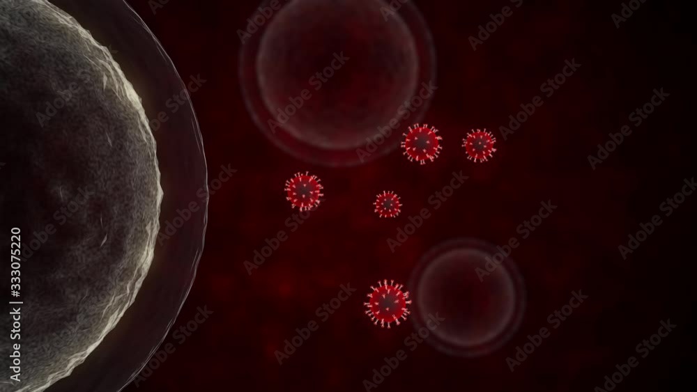 How the coronavirus SARS-CoV-2 infects a human body cell. 3D render ...