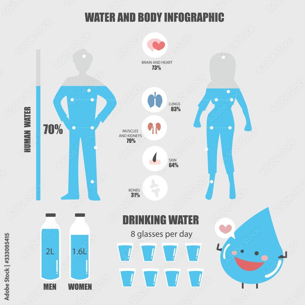 Water and body man and woman infographic vector illustration Stock ...