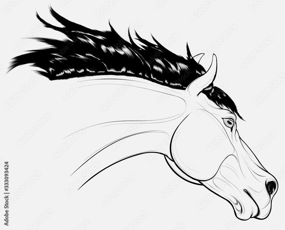 Outline portrait of a running horse with long fluttering mane. Stallion ...