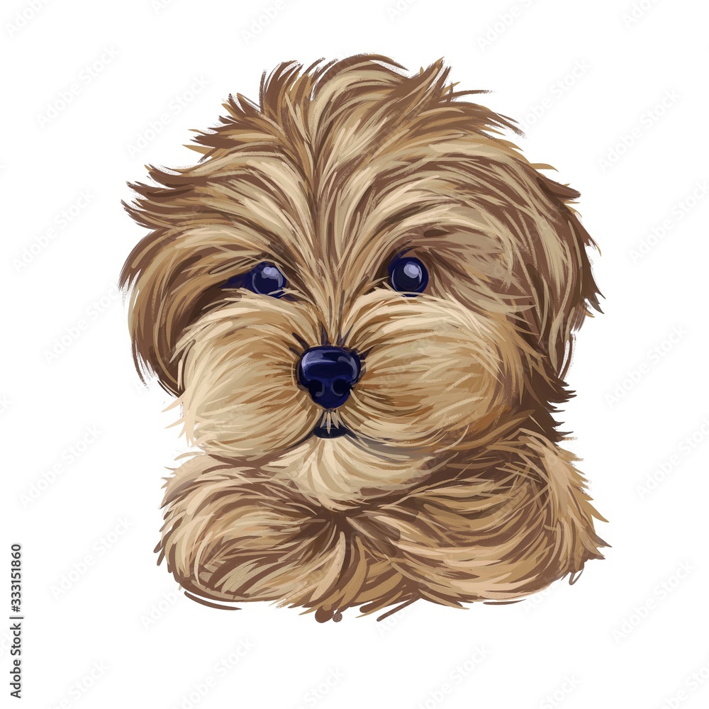 Cavapoo digital art illustration of cute canine animal of beige color ...