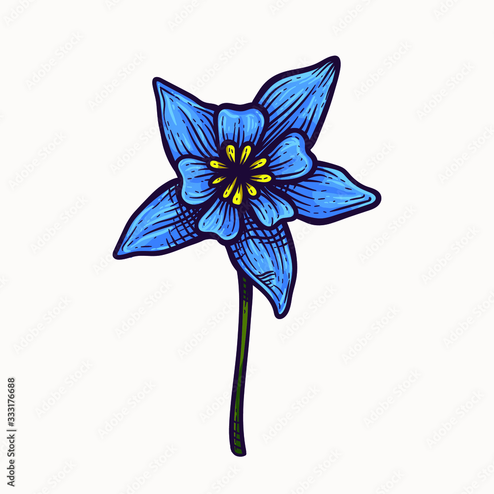 blue spring flowers hand drawn isolated colorful vector clipart. plant ...