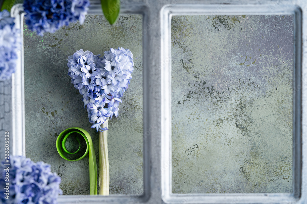 light blue hyacinth in the shape of a heart on a watercolor green ...