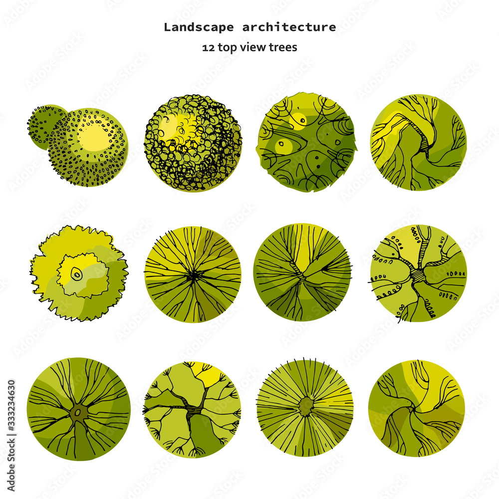 Top view vector set of different green trees.Hand drawn illustration ...