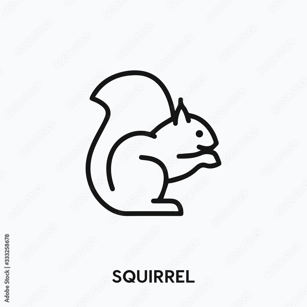 squirrel icon vector. squirrel icon vector symbol illustration. Modern simple vector icon for ...