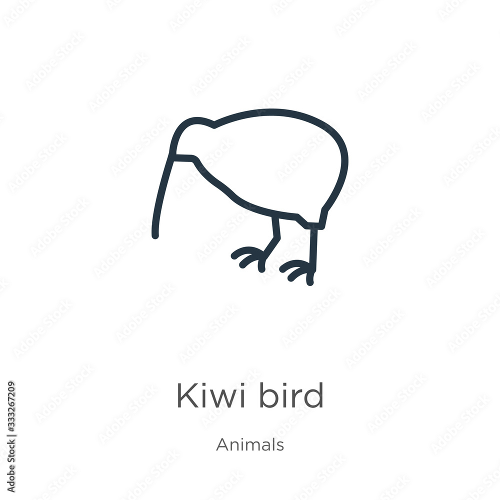 Kiwi bird icon. Thin linear kiwi bird outline icon isolated on white ...