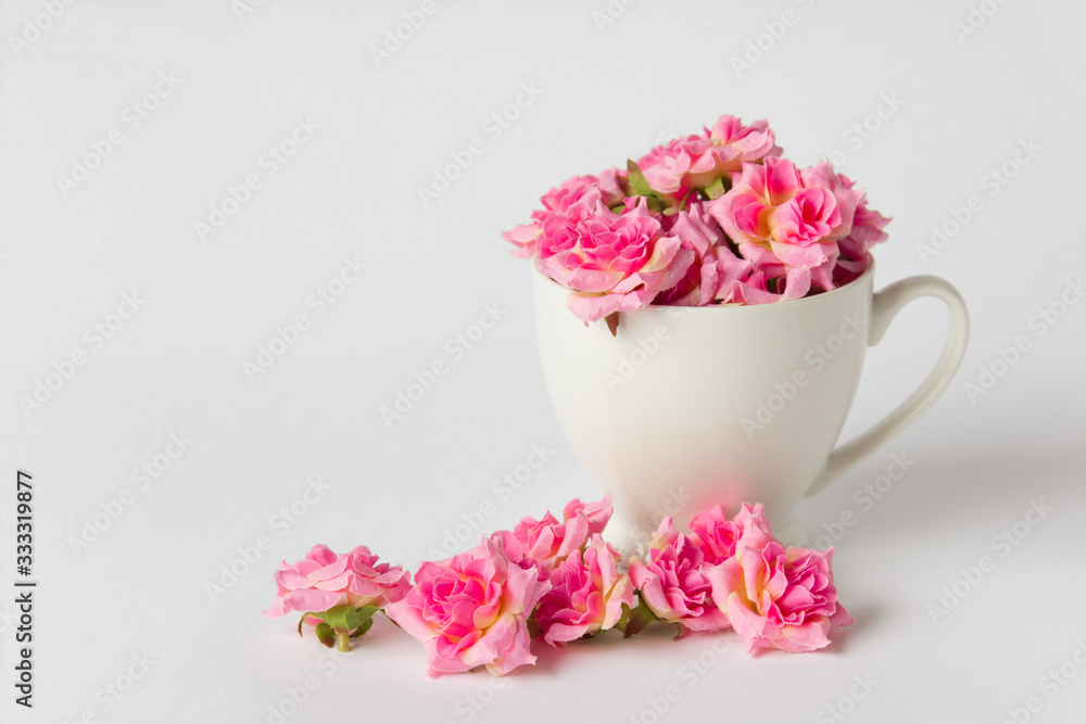Tea cup with roses on white background and many pink roses. Photo with ...