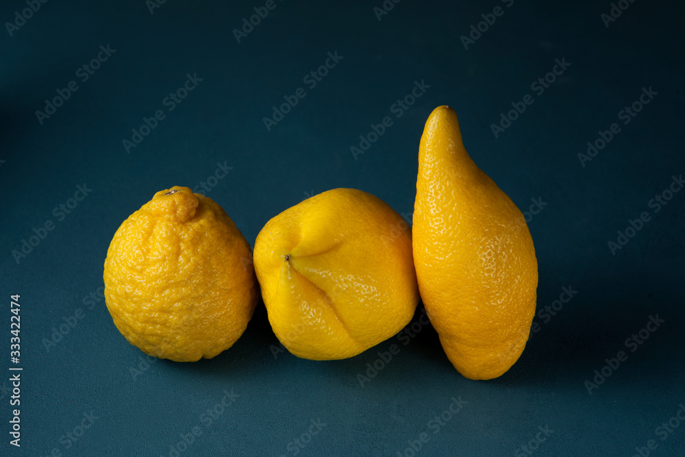 Three ugly lemons in a row on a dark blue textured background. Closeup ...