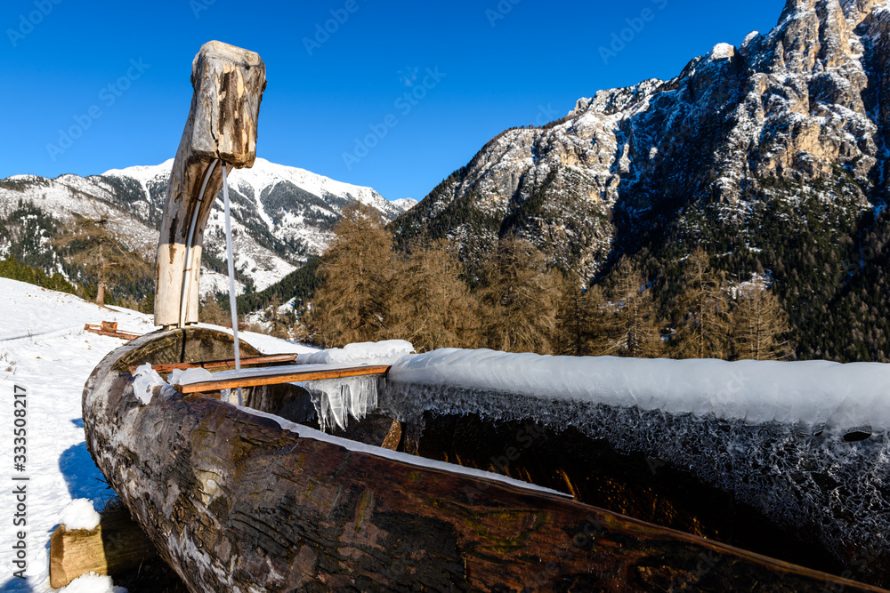 Paesaggio e legna nelle Dolomiti, Trentino, Tesero in val di Fiemmee ...