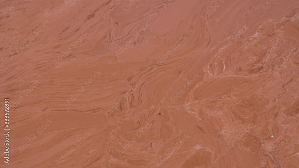 CLOSE UP: Red colored cyanobacteria floats on the surface of a polluted ...