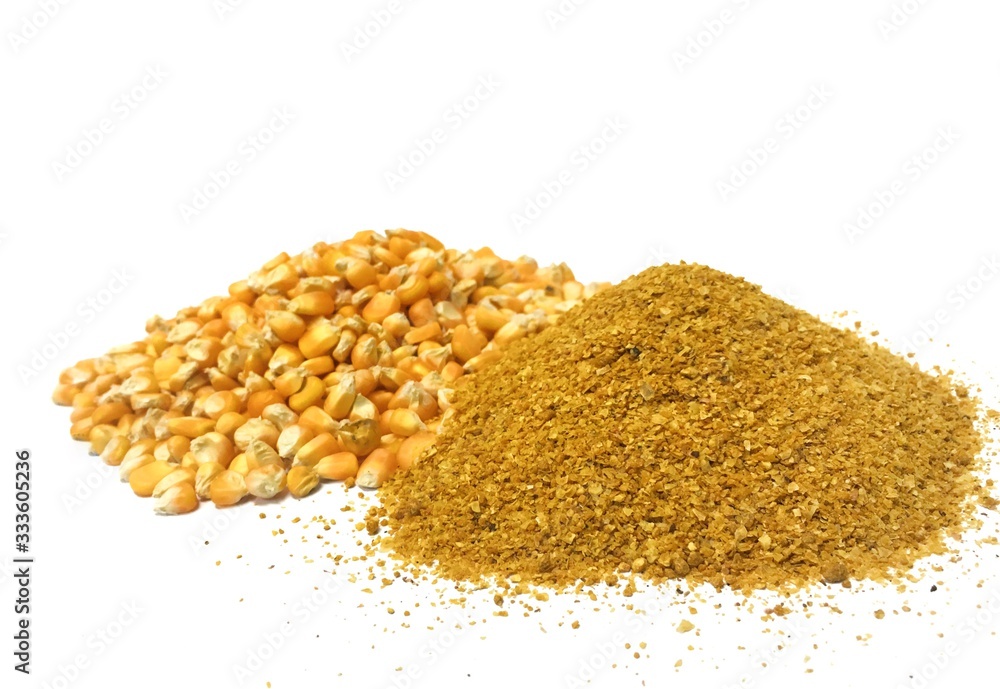 High protein, the Golden corn ddgs pellet by product of biodiesel from ...