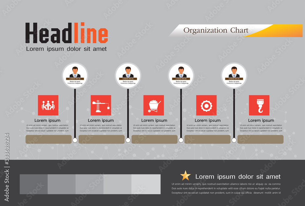 Organization Chart Infographics, Timeline vector infographic, business ...
