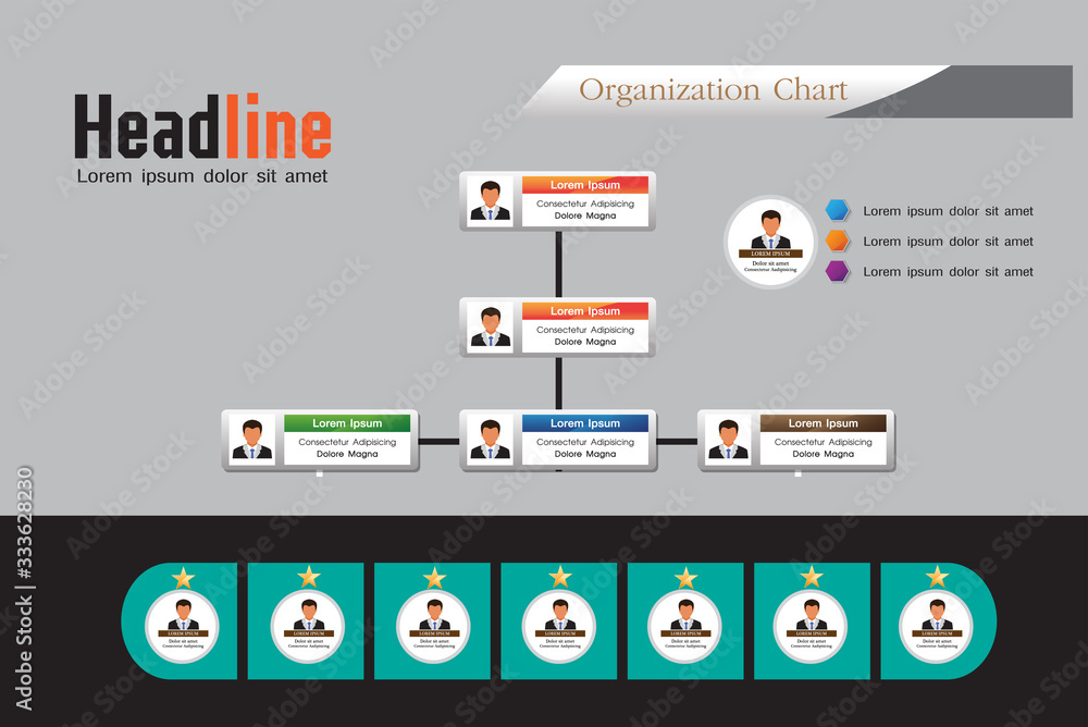 Organization Chart Infographics, Timeline vector infographic, business ...