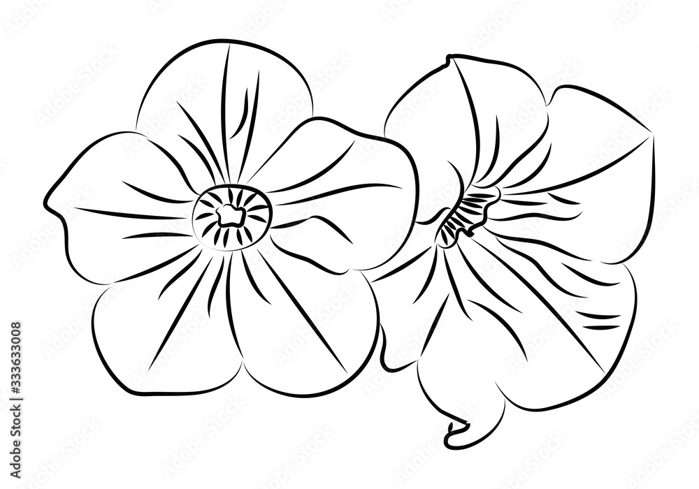 Dibujo De Trazo De Flor Hace Algunos Años, Pasaba Horas En Instagram Dibujo De Trazo De Flor Hace Algunos Años, Pasaba Horas En Instagram