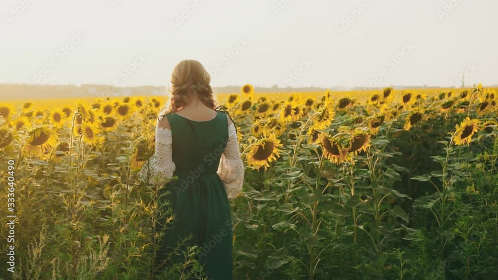 Rural young woman turned away walking beautiful blooming sunflower ...