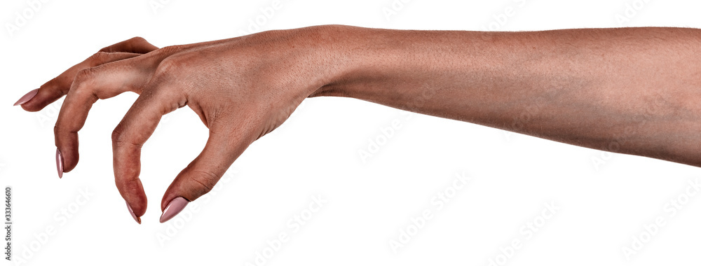 Female black hands isolated white background showing gesture holds ...