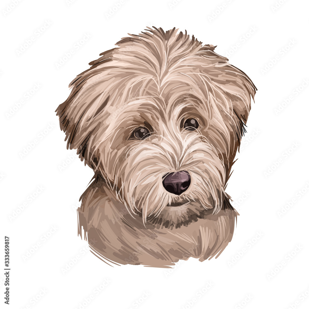 Schnoodle dog digital art illustration isolated on white. ilustração do ...