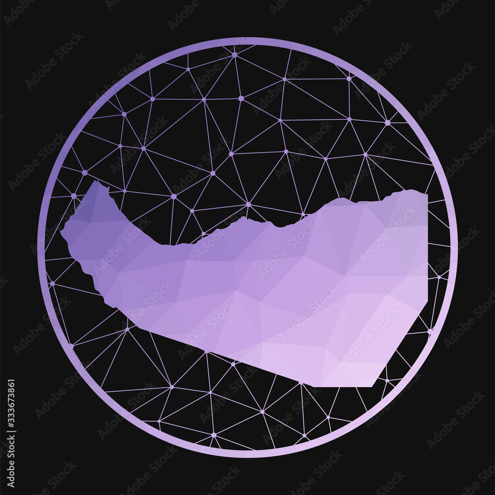 Vecteur Stock Somaliland icon. Vector polygonal map of the country ...