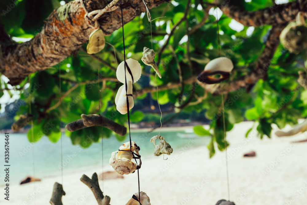 Coral hanging a tree on the beach at against beautiful nature of Nipah ...