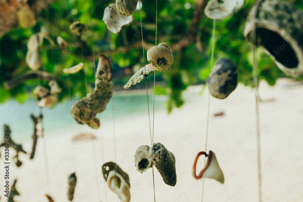 Coral hanging a tree on the beach at against beautiful nature of Nipah ...