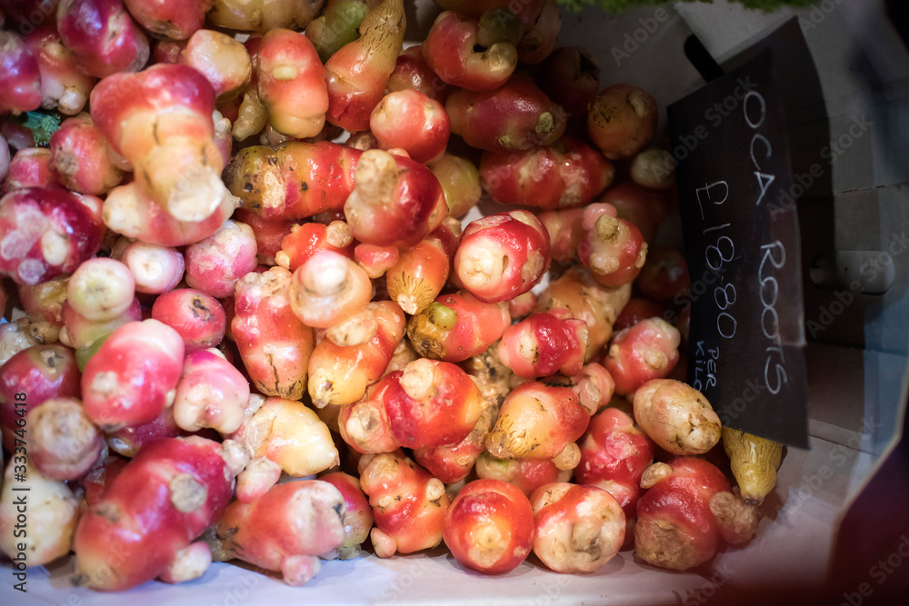 oca root for sale at the farmer market Stock Photo | Adobe Stock