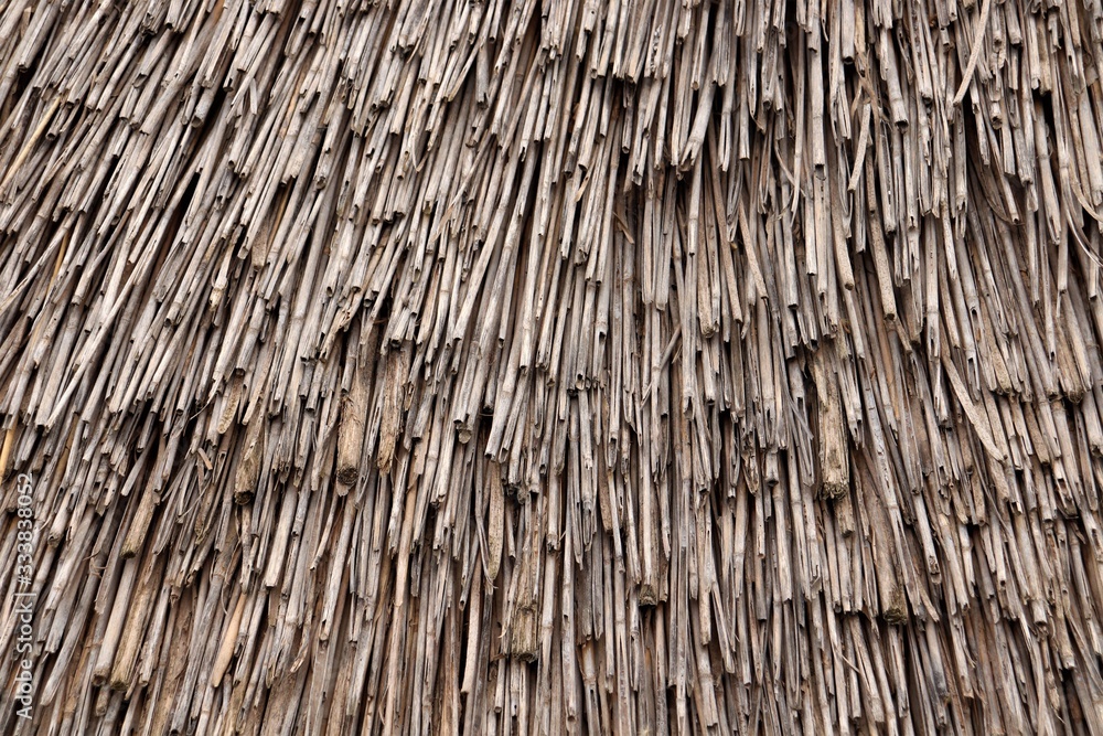 Part of the reed roof. Stock Photo | Adobe Stock