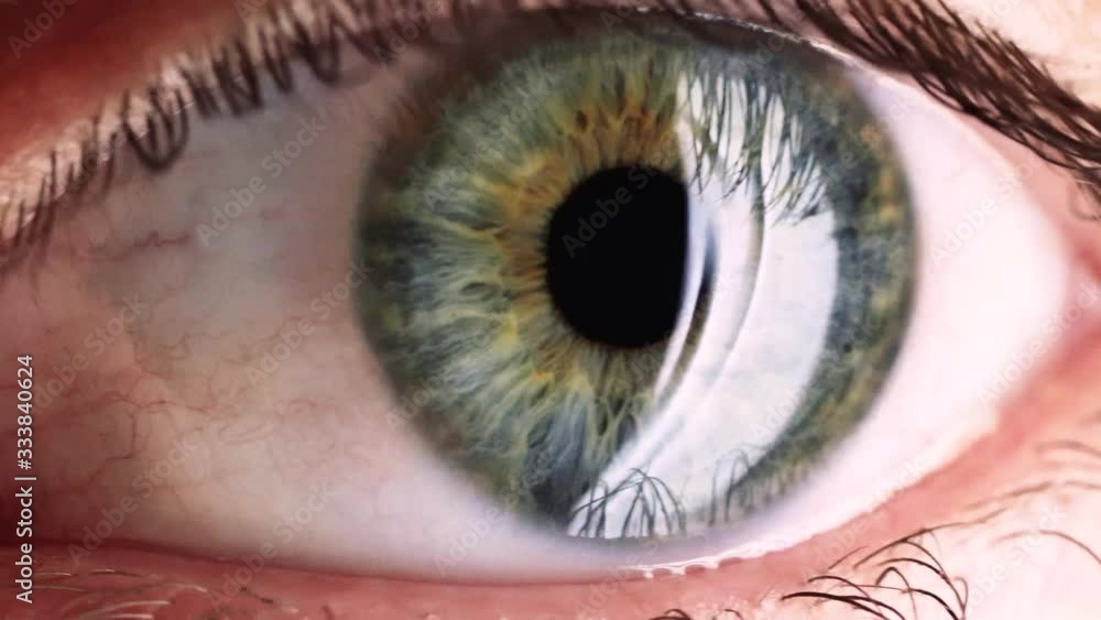 Close up macro shots of blue - green - yellowish eye reacting to light ...