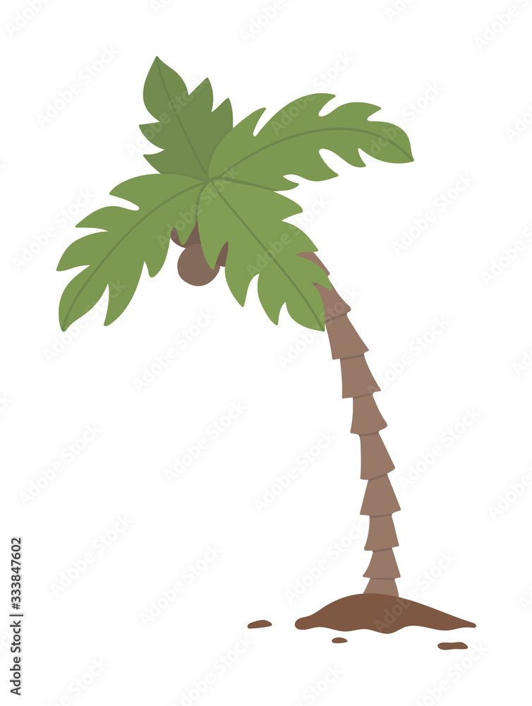 Vector tropical palm tree clip art. Jungle foliage illustration. Hand ...