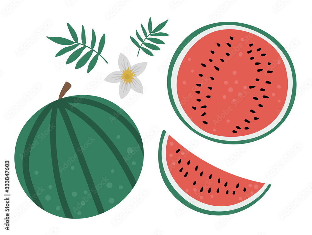 Vector watermelon clip art. Jungle fruit illustration. Hand drawn flat ...