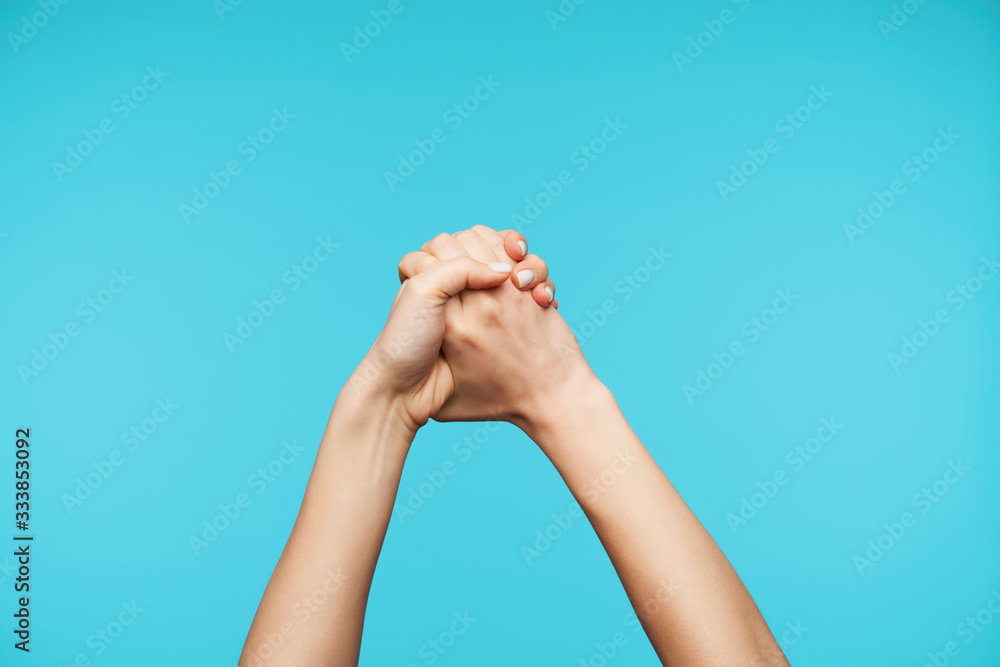 Studio shot of two well-conditioned pretty lady's hands folded together ...
