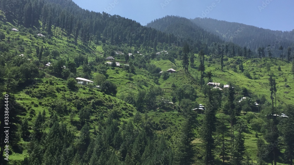 clear sky below green trees in Naran Pakistan Stock Photo | Adobe Stock