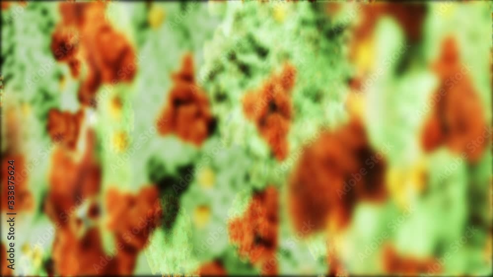 Coronavirus (COVID-19) medical animation. The virus model is realistic ...