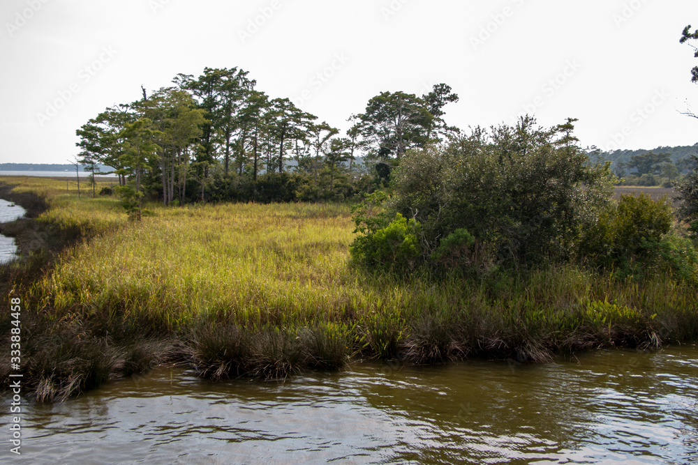 Weeks Bay Fish River wildlife preserve Park marsh meadows and forests ...