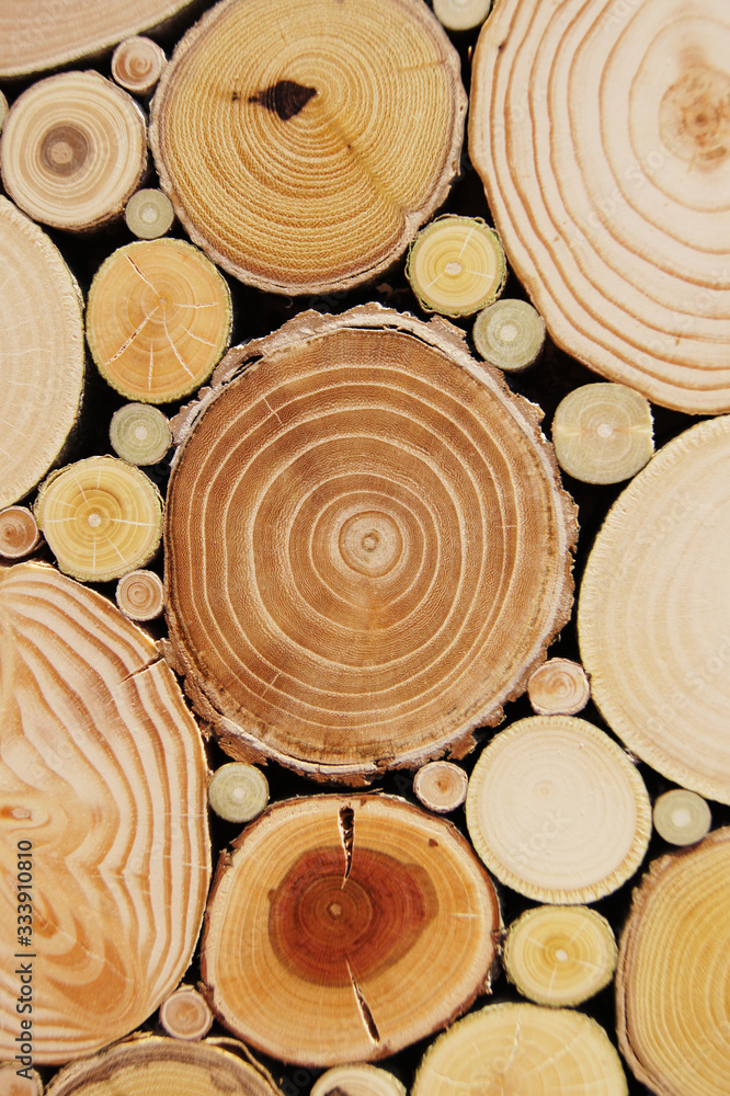 Round wood texture. Cross section of the juniper tree. Art abstract ...
