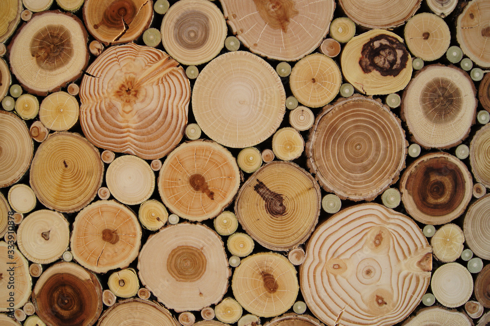 Round wood texture. Cross section of the juniper tree. Art abstract ...