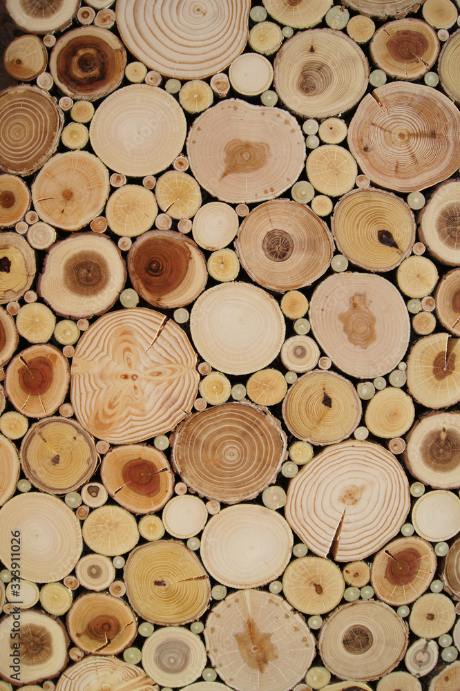 Round wood texture. Cross section of the juniper tree. Art abstract ...
