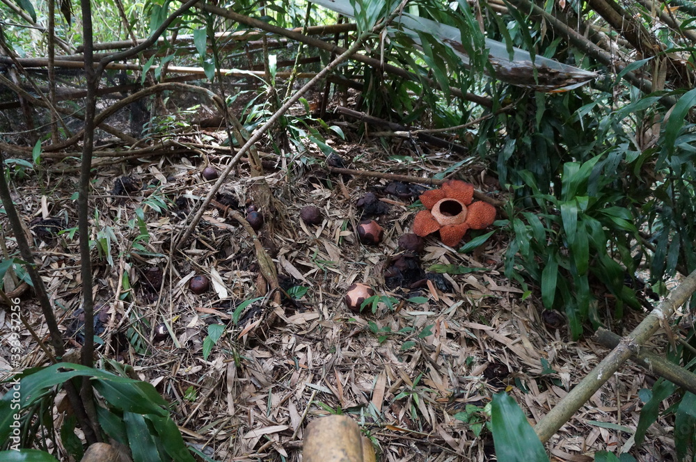 It is a picture of Kota Kinabalu in September 2017. This is a ...