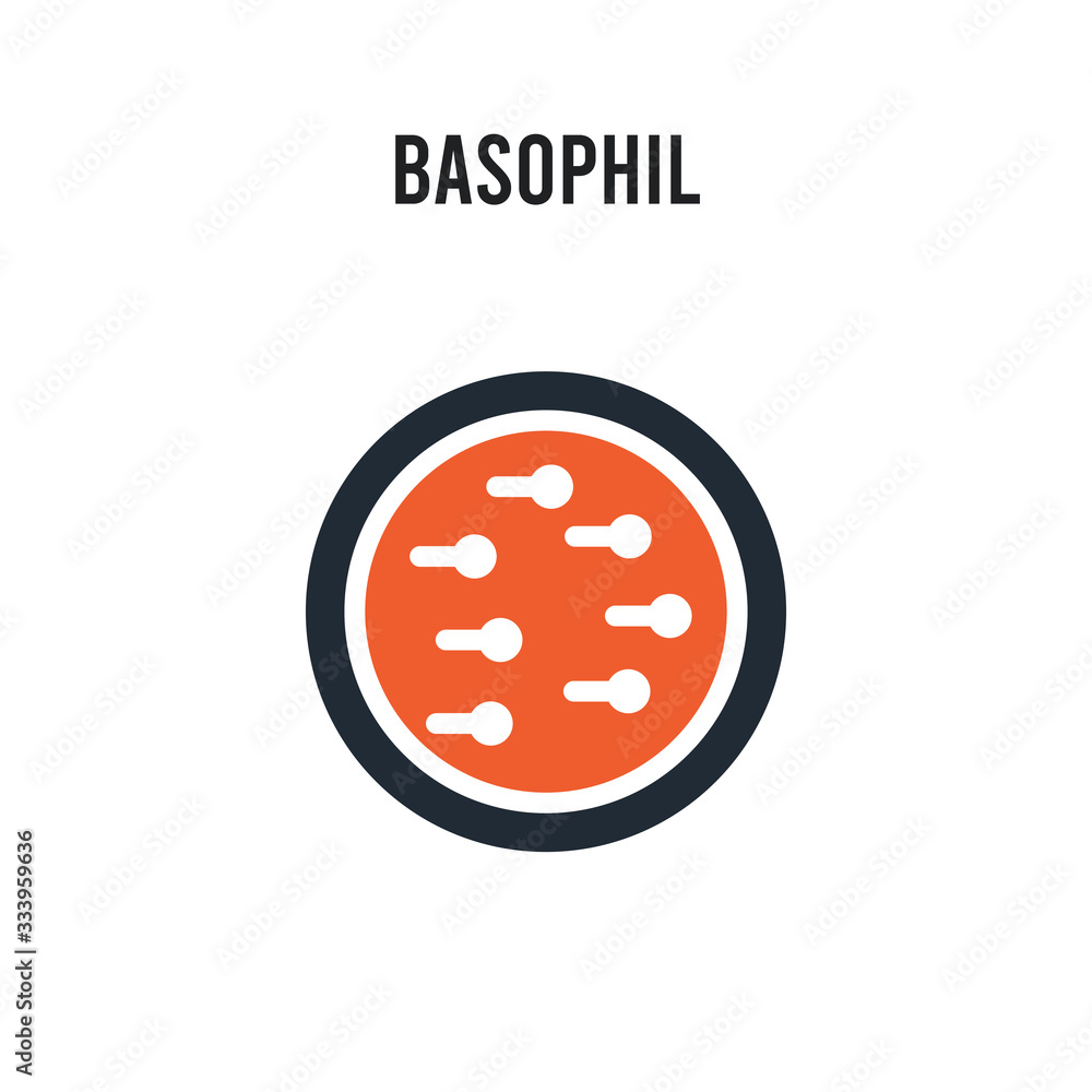 Vecteur Stock Basophil vector icon on white background. Red and black ...
