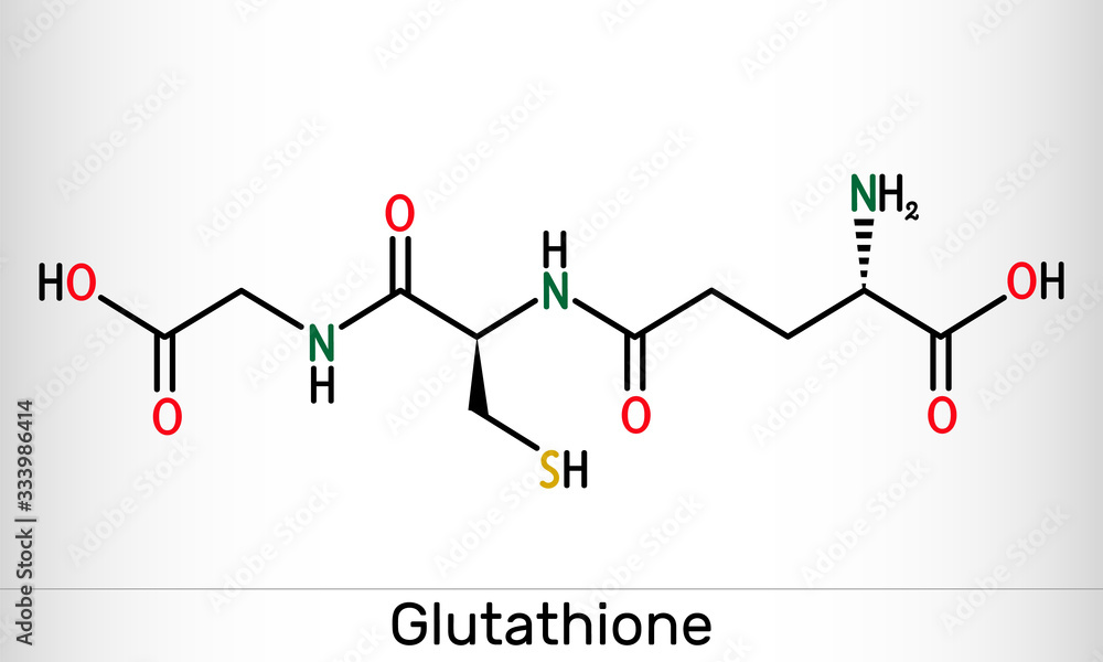 Glutathione, GSH, C10H17N3O6S molecule. It is an important antioxidant ...