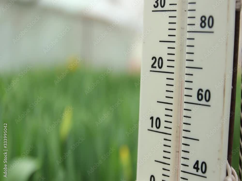 thermometer, temperature, isolated, celsius, scale, measurement, degree ...
