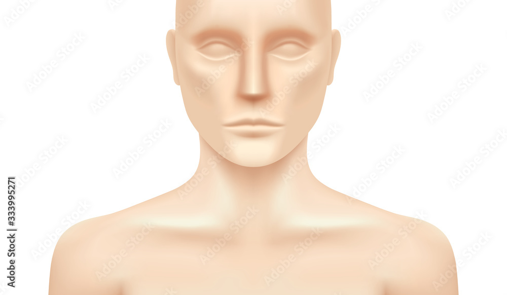 Vector human model isolated on a white background. Plastic dummy torso ...