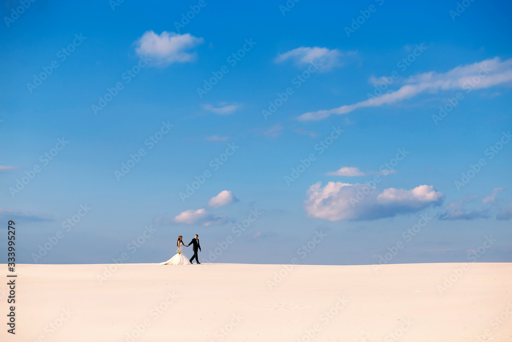 The bride and groom are walking in the desert, a view from afar, blue ...