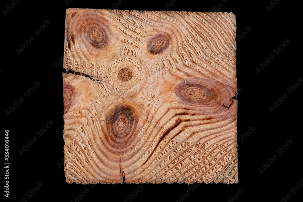 Cross section of a piece of pine wood. Knots in cross section. Stock ...