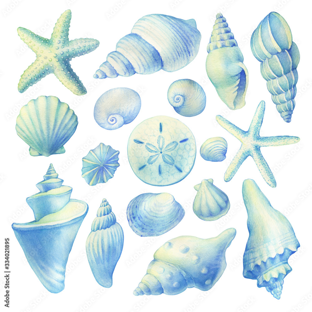 Set of blue seashells and starfish, marine design. Watercolor hand ...